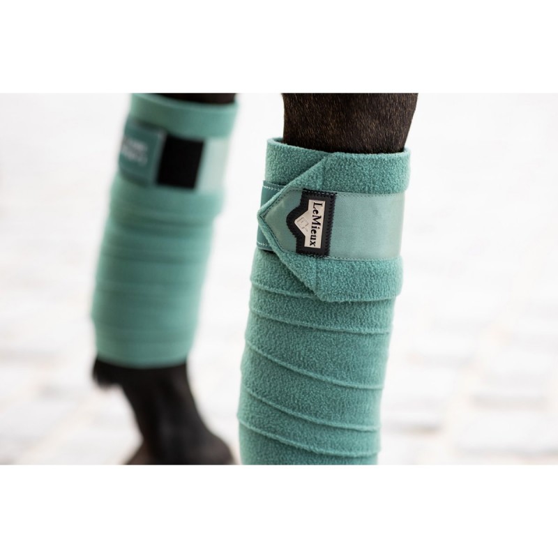 Bande de polo Loire Lemieux - Sage - Westhead Sellerie